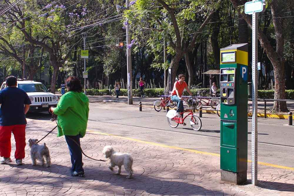 Aplicará EcoParq 68 mdp para mejoramiento de espacio público - - Centro ...