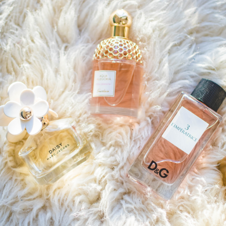 Perfumes de Dolce Gabbana más versátiles para mujer - - Centro Urbano