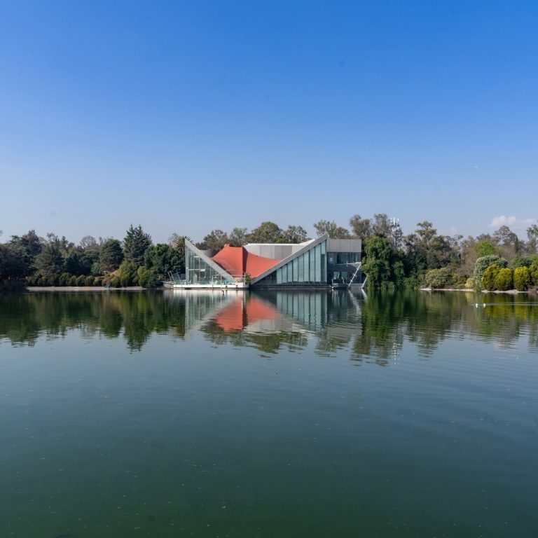 Lago/Algo, la resignificación del espacio cultural y natural de la CDMX ...