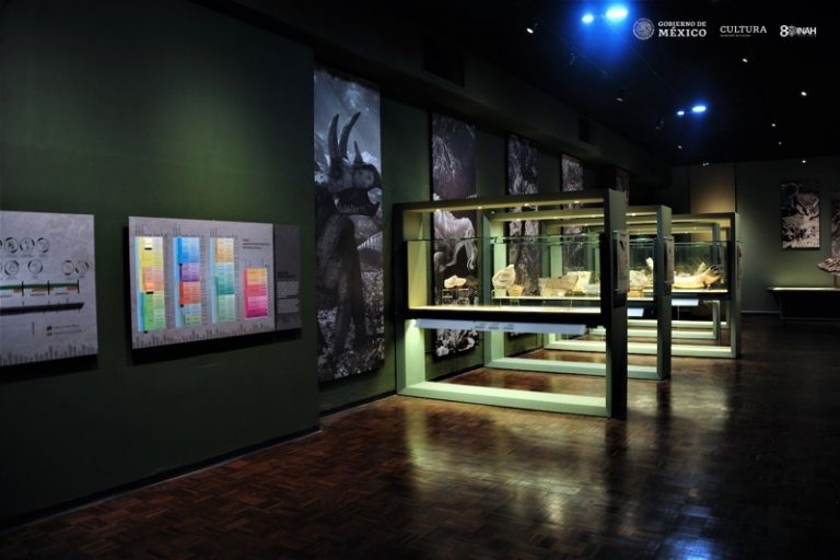 Tras reestructuración, reabre Museo Regional de La Laguna - Centro Urbano