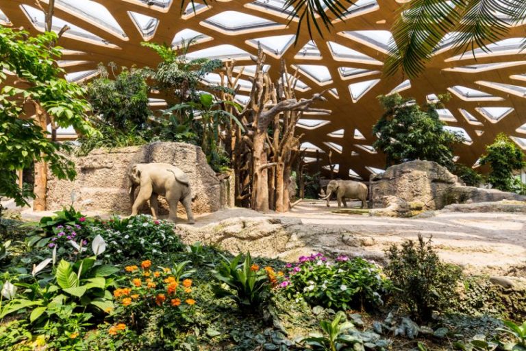 Galardonan arquitectura del Ecoparque Mendoza en Argentina - - Centro ...