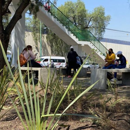 Gobiernos municipales realizan acciones para combatir la crisis climática - Centro Urbano